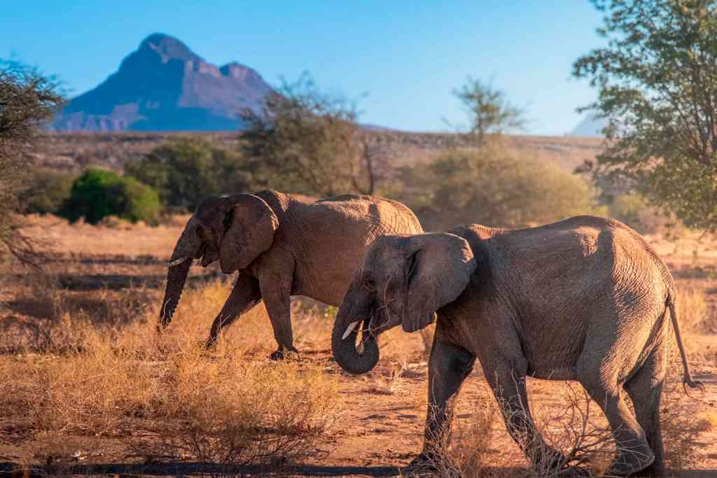 Namibia, Botswana & Victoria Falls | Bunnik Tours