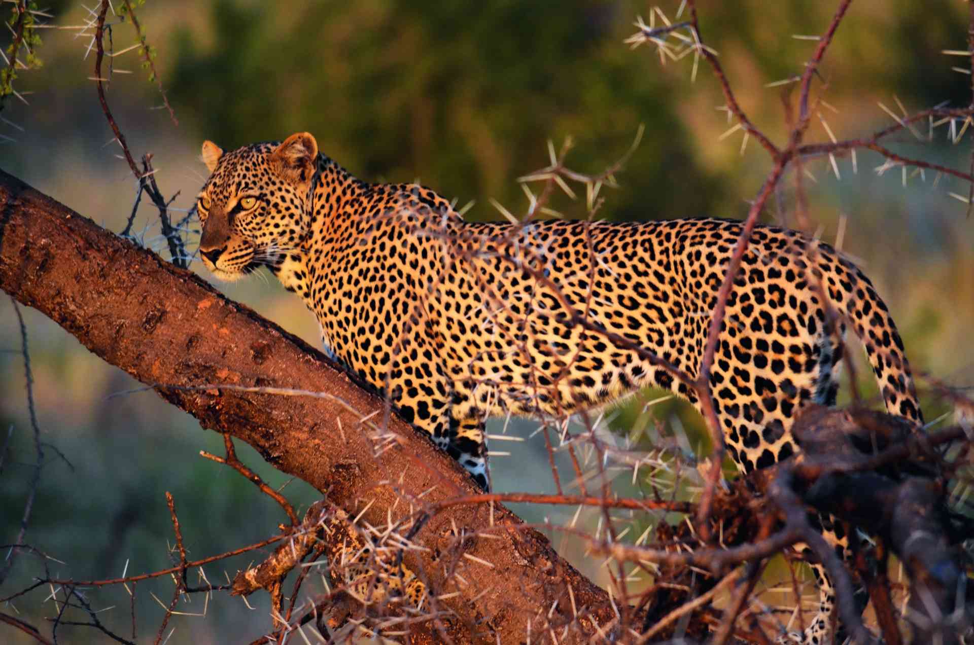 Holiday Packages | A better way of touring | Bunnik Tours