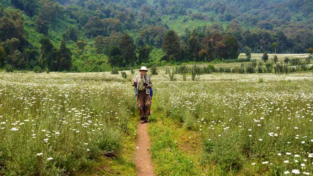 Rwanda Tours | Bunnik Tours