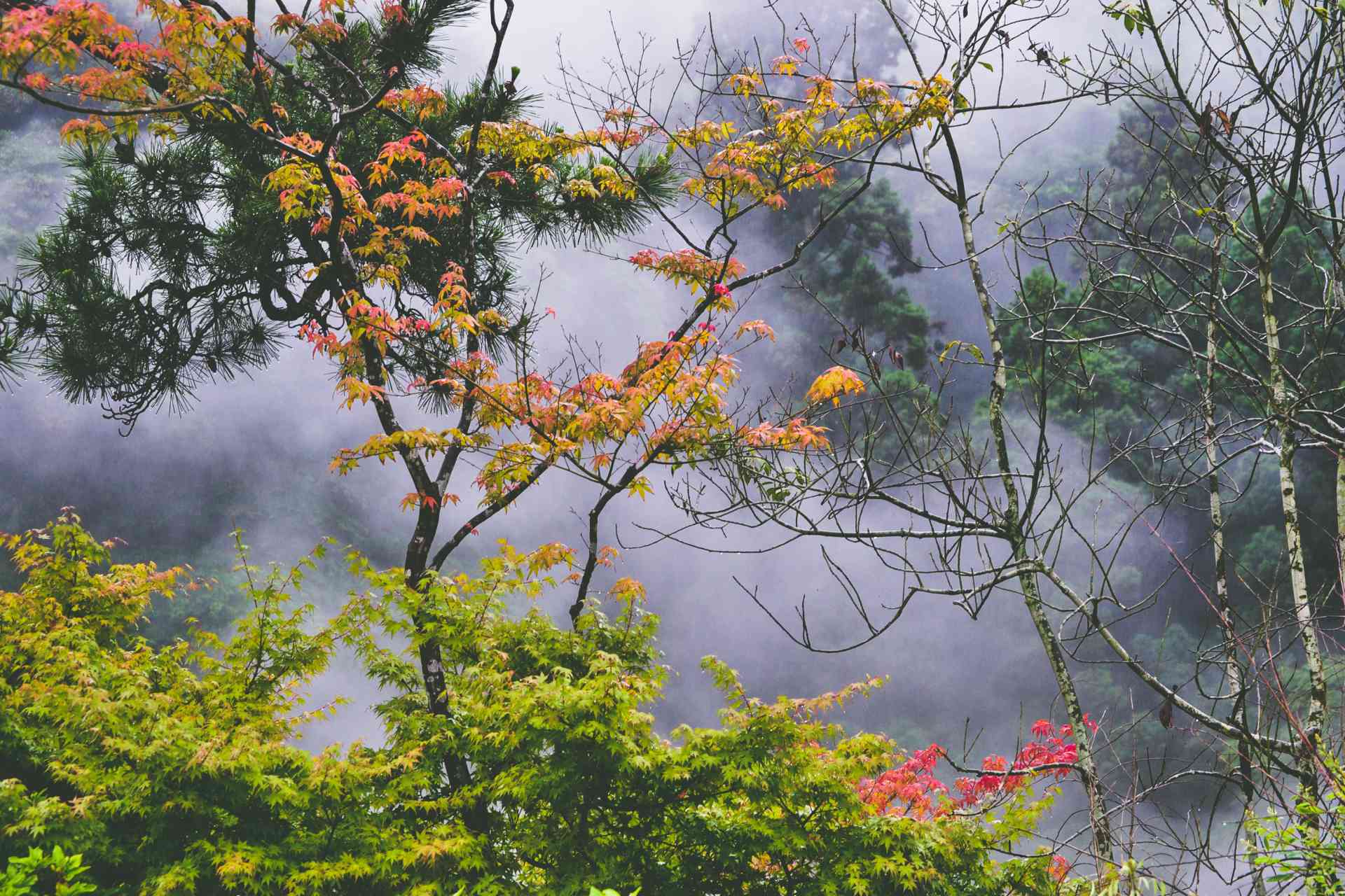 Best of Southern Japan | Bunnik Tours