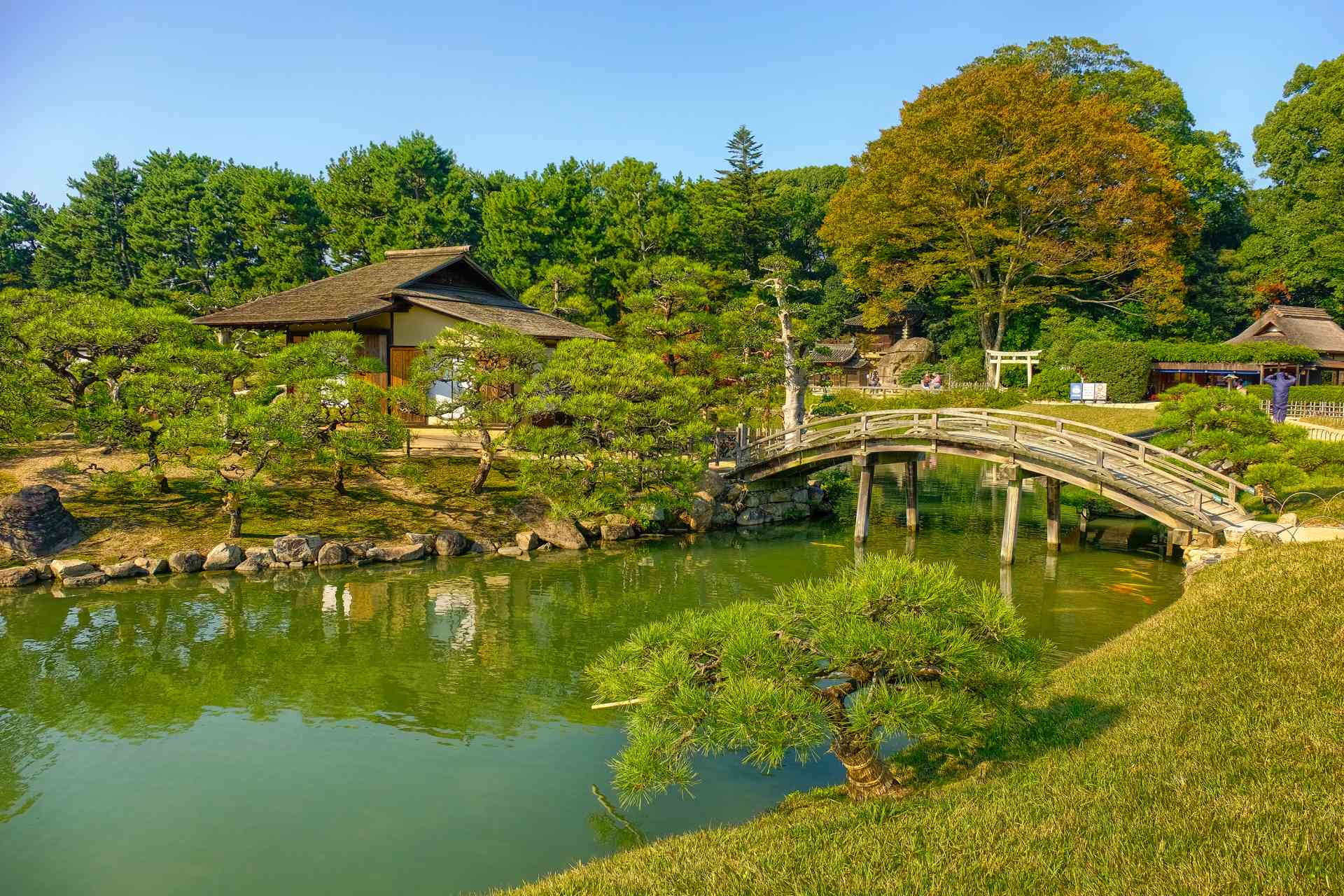 Best of Southern Japan | Bunnik Tours