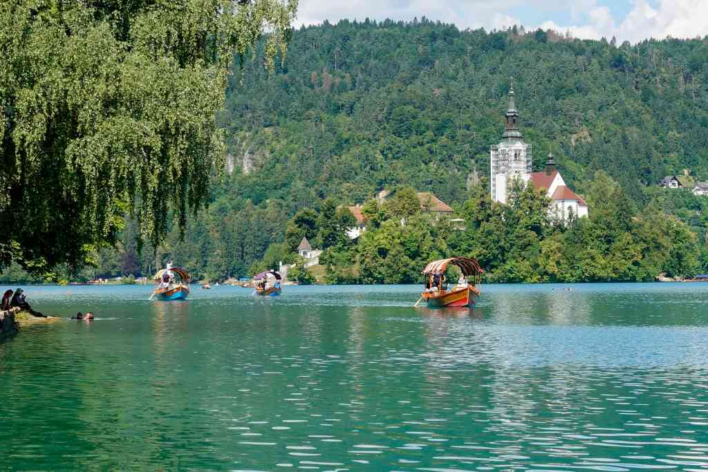 Alpine Discovery 2026 | Bunnik Tours