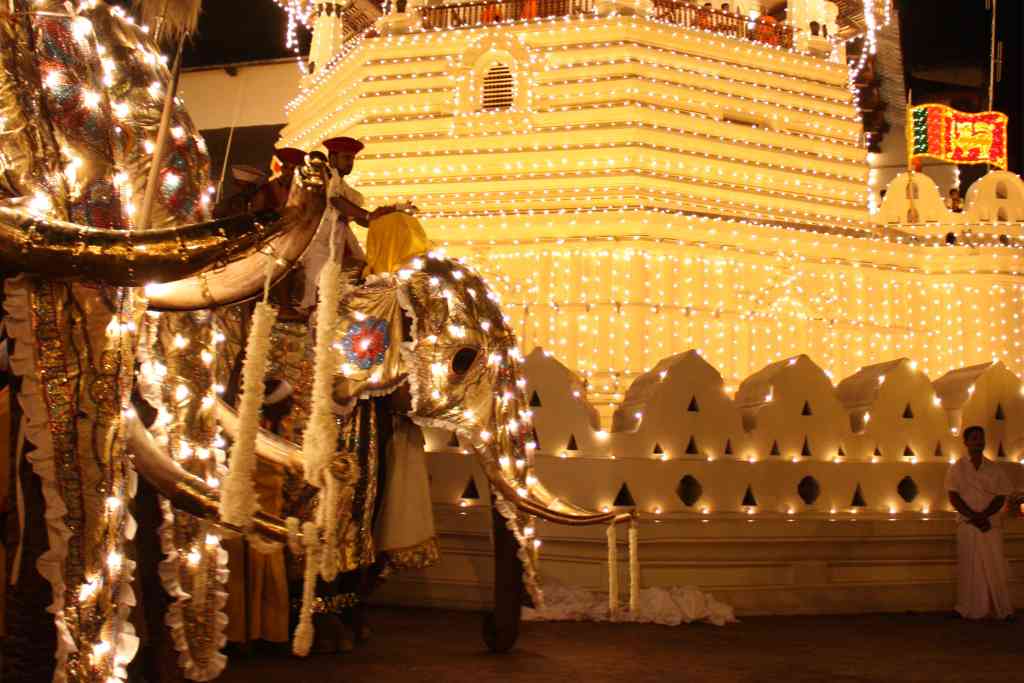Sri Lankan Discovery Kandy Festival 2026 | Bunnik Tours