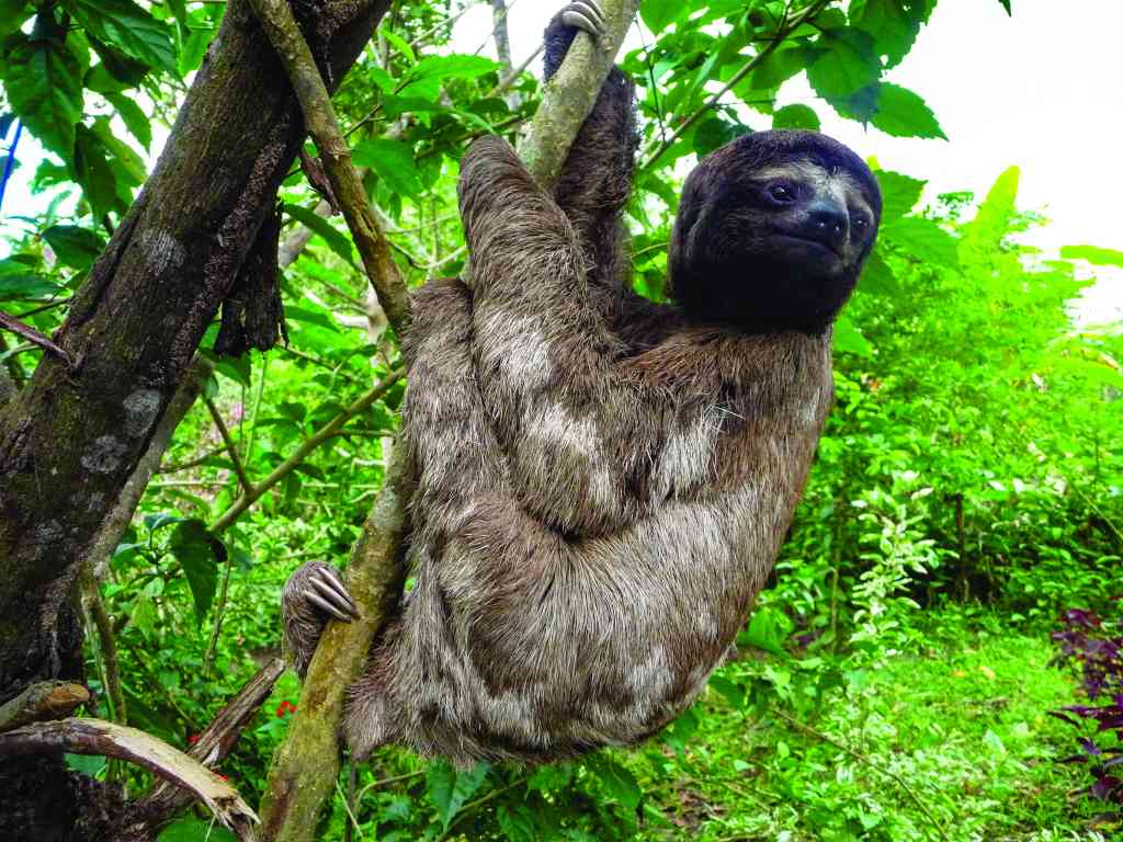 Peru Explorer | Bunnik Tours