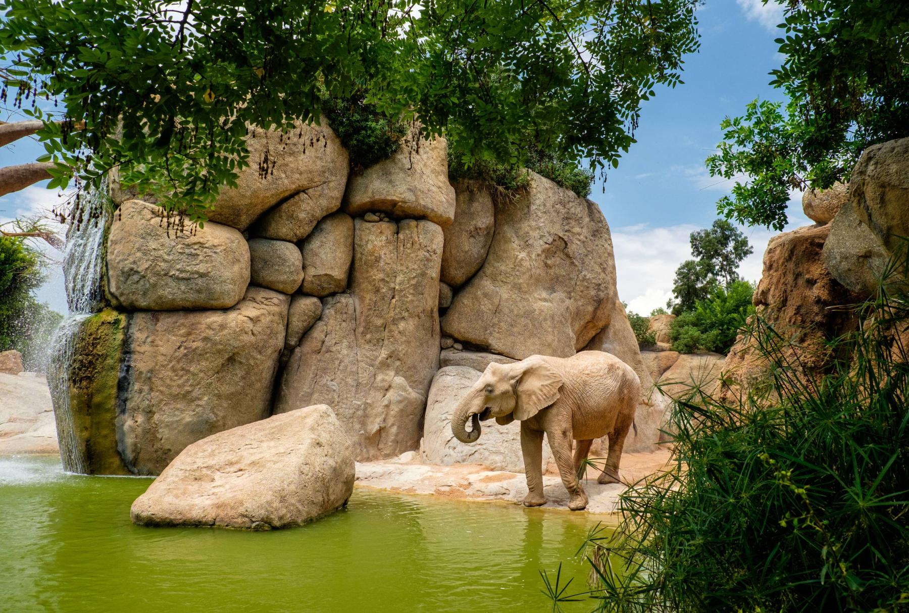 The 12 Best Things To Do In Valencia | Bunnik Tours