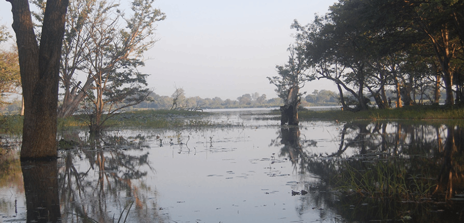 A Guide To Habarana Sri Lanka - For Tourists | Bunnik Tours