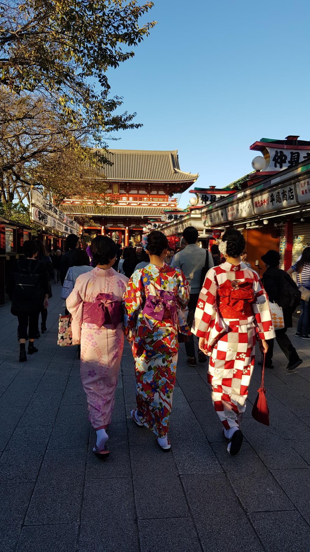 Visiting Japan | Where To Go & What To See | Bunnik Tours