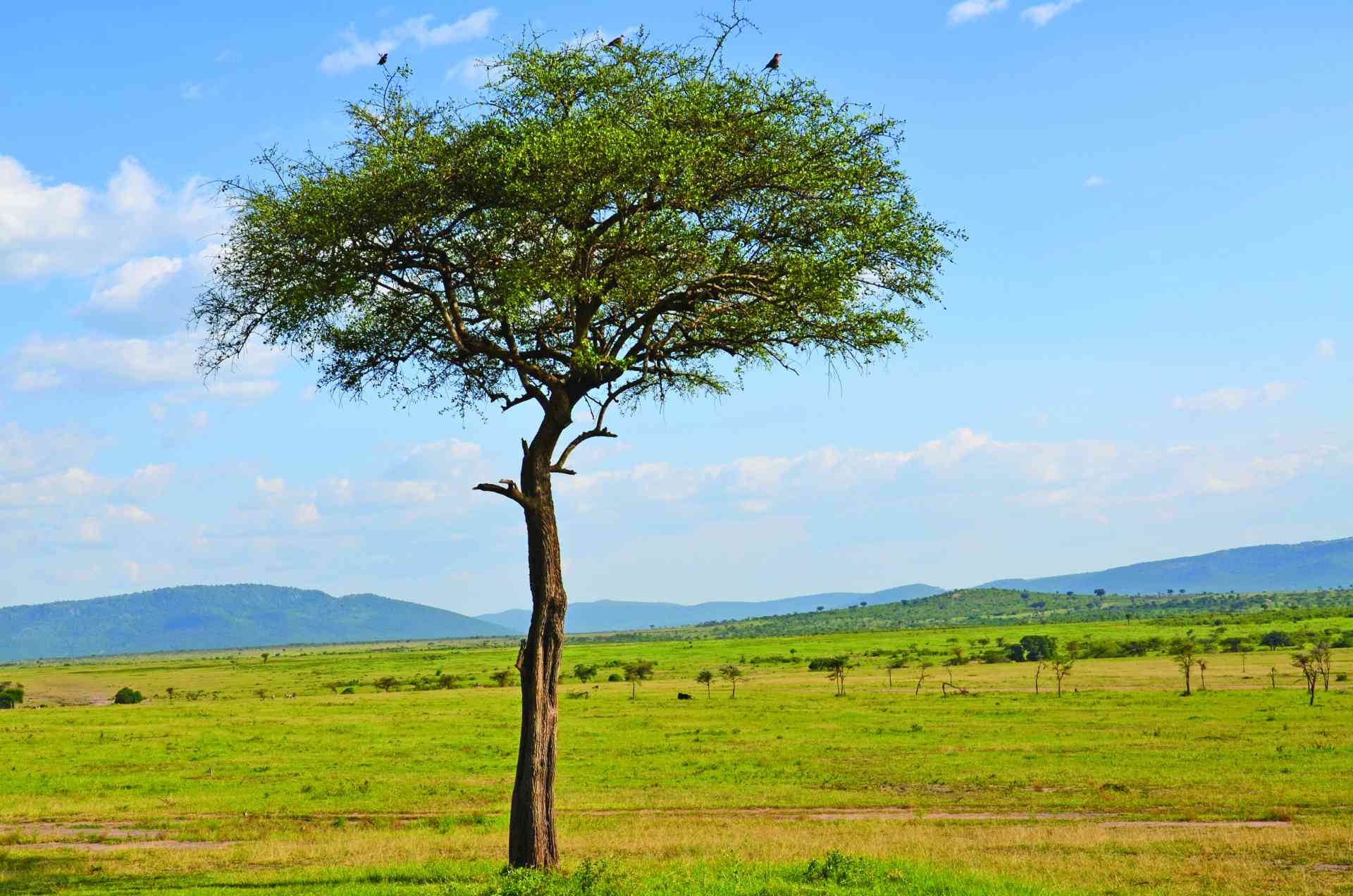 Seasonal Highlights of Africa | Bunnik Tours