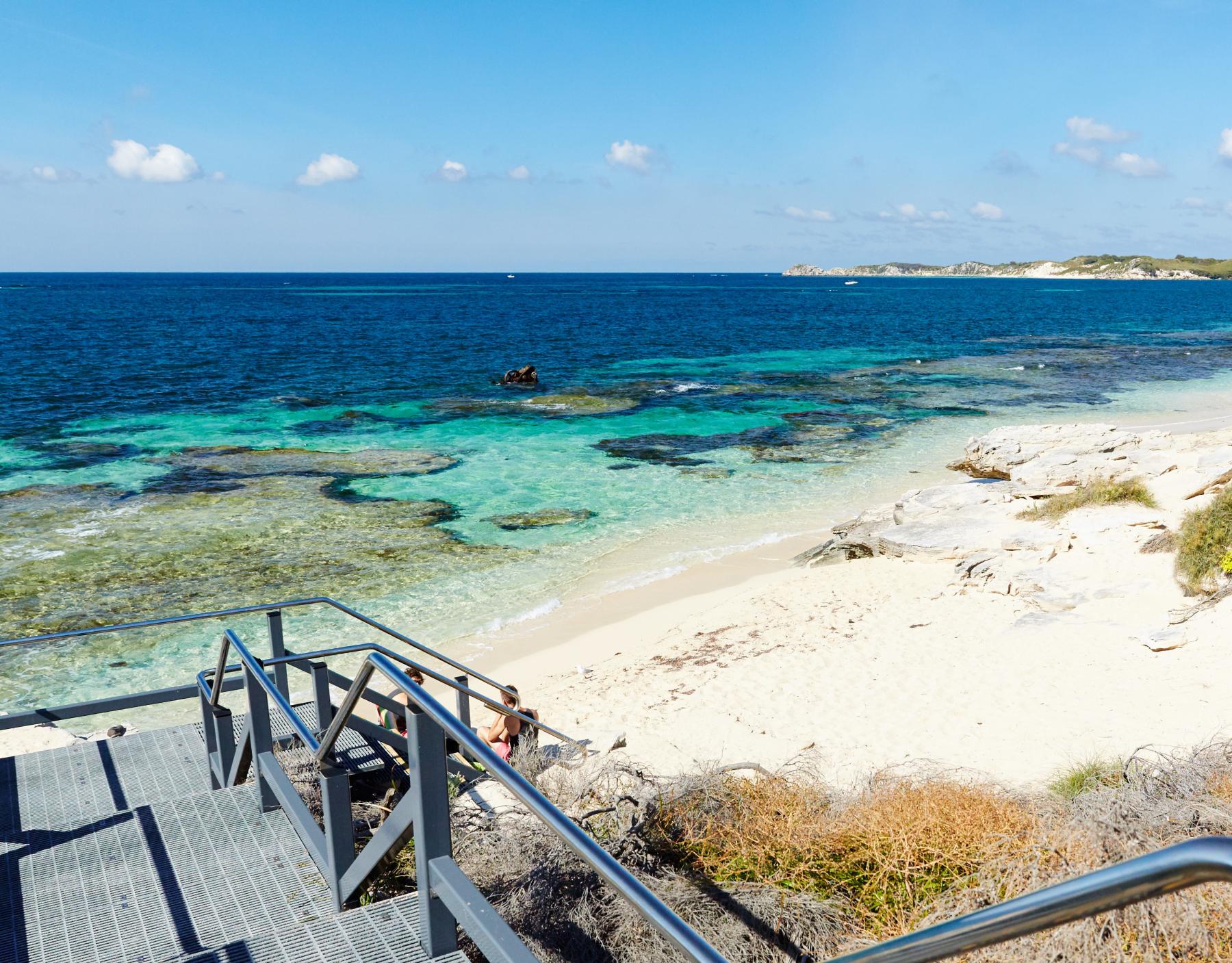 WA: A Wildlife Wonderland | Bunnik Tours