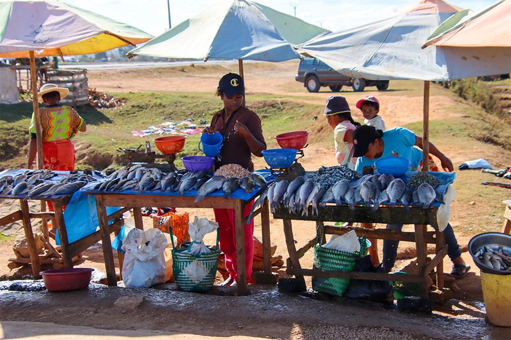 10 Interesting Facts About Madagascar | Bunnik Tours