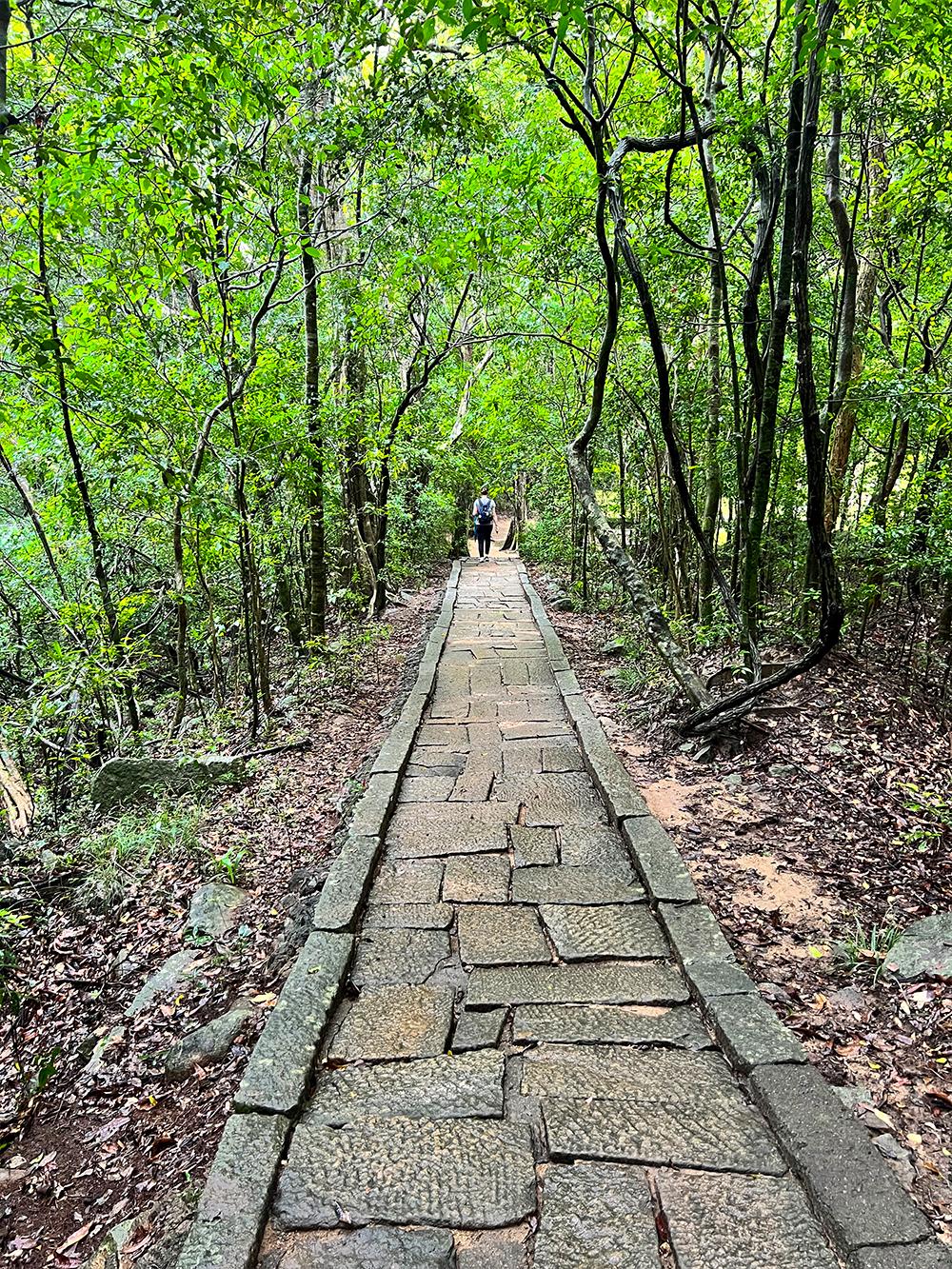 Unearthing Treasures of the Cultural Triangle in Sri Lanka | Bunnik Tours
