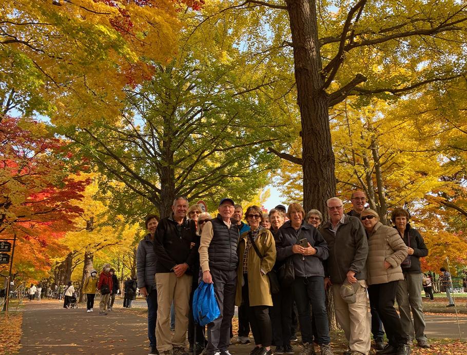 What You Need to Know About Taking a Japan Tour from Australia | Bunnik ...