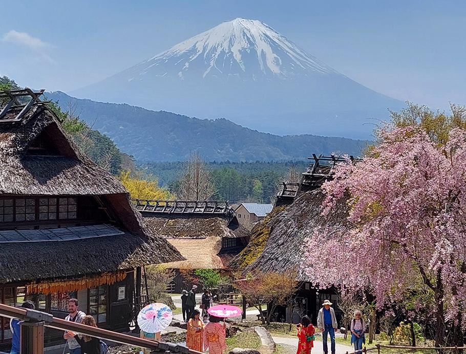 What You Need to Know About Taking a Japan Tour from Australia | Bunnik ...