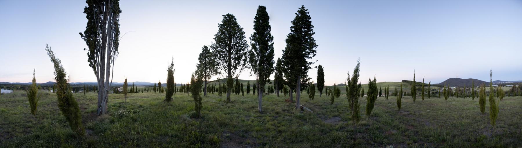 10 reasons why a trip to Canberra will blow your mind! | Bunnik Tours