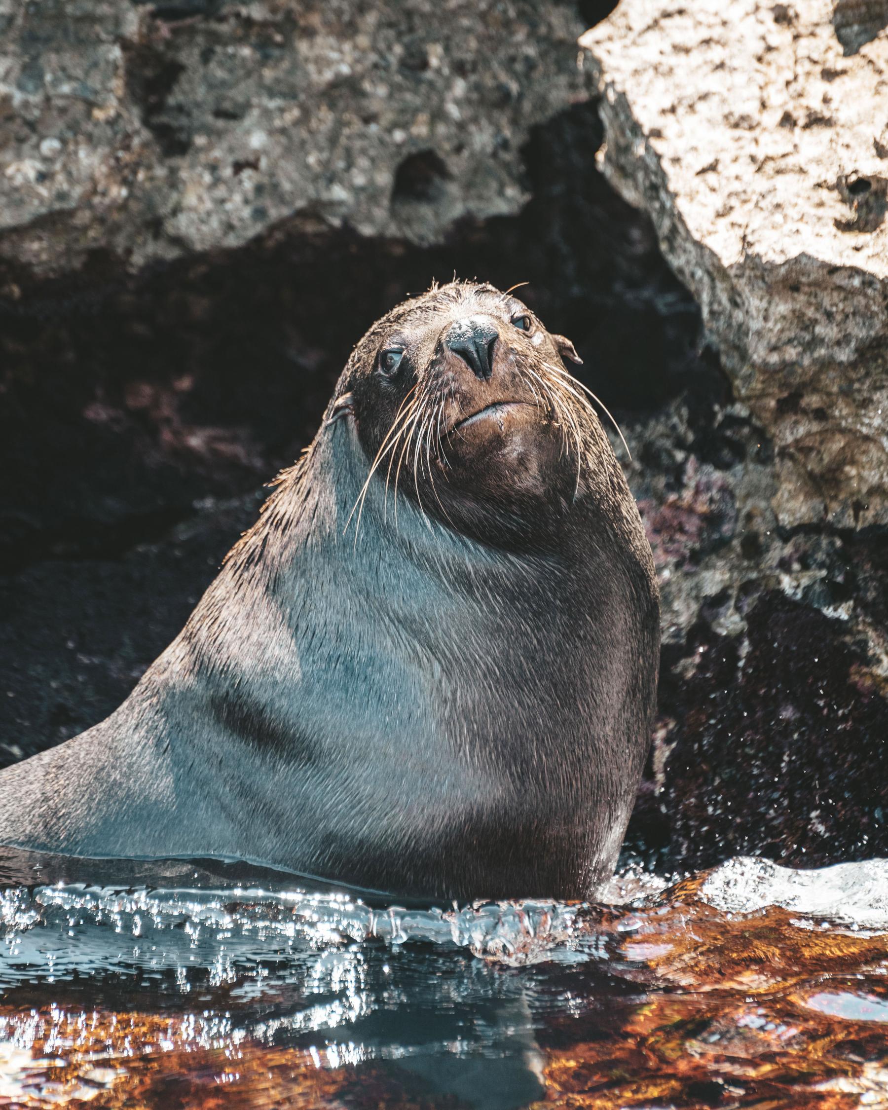 The Beauty of Rottnest Island | Bunnik Tours