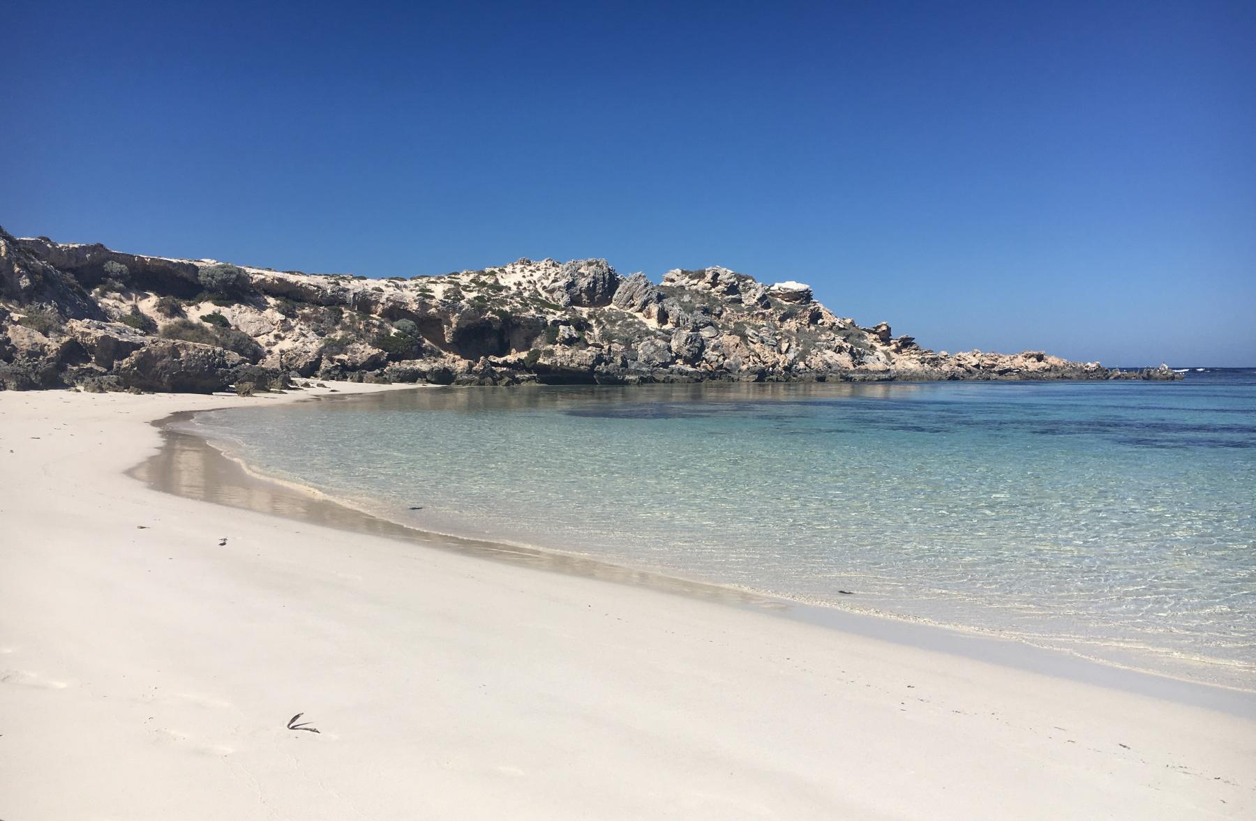 The Beauty of Rottnest Island | Bunnik Tours
