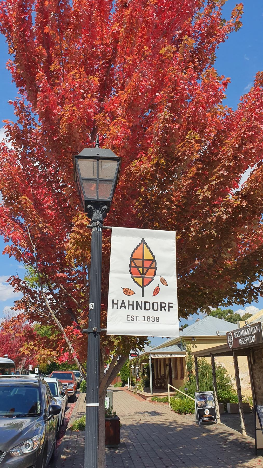 Through the Adelaide Hills to historic Hahndorf | Bunnik Tours