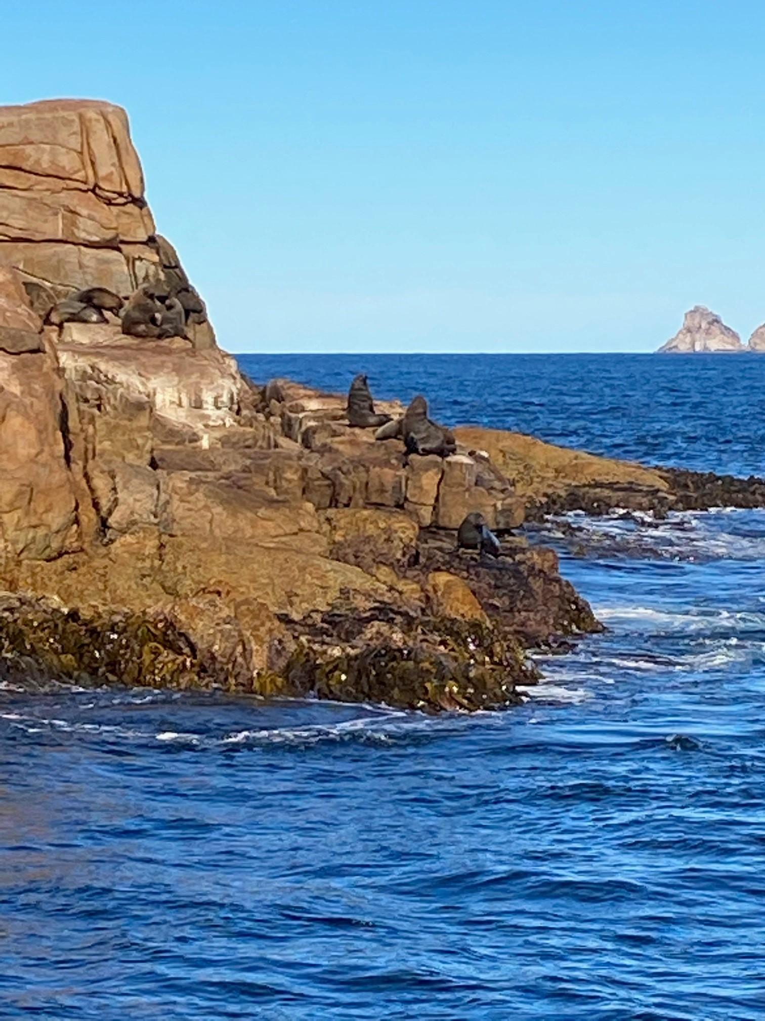 Fantastic Freycinet | Bunnik Tours