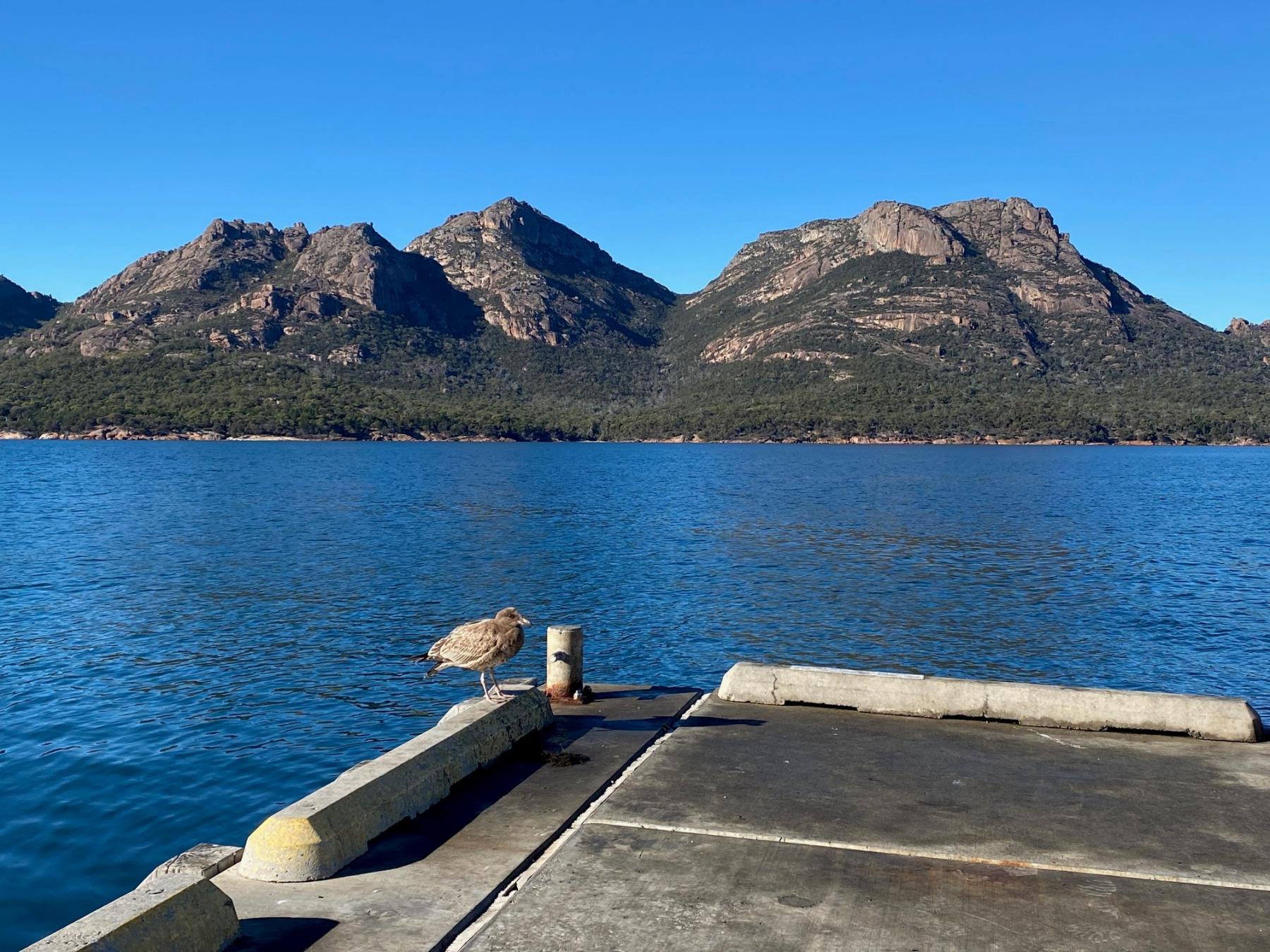 Fantastic Freycinet | Bunnik Tours