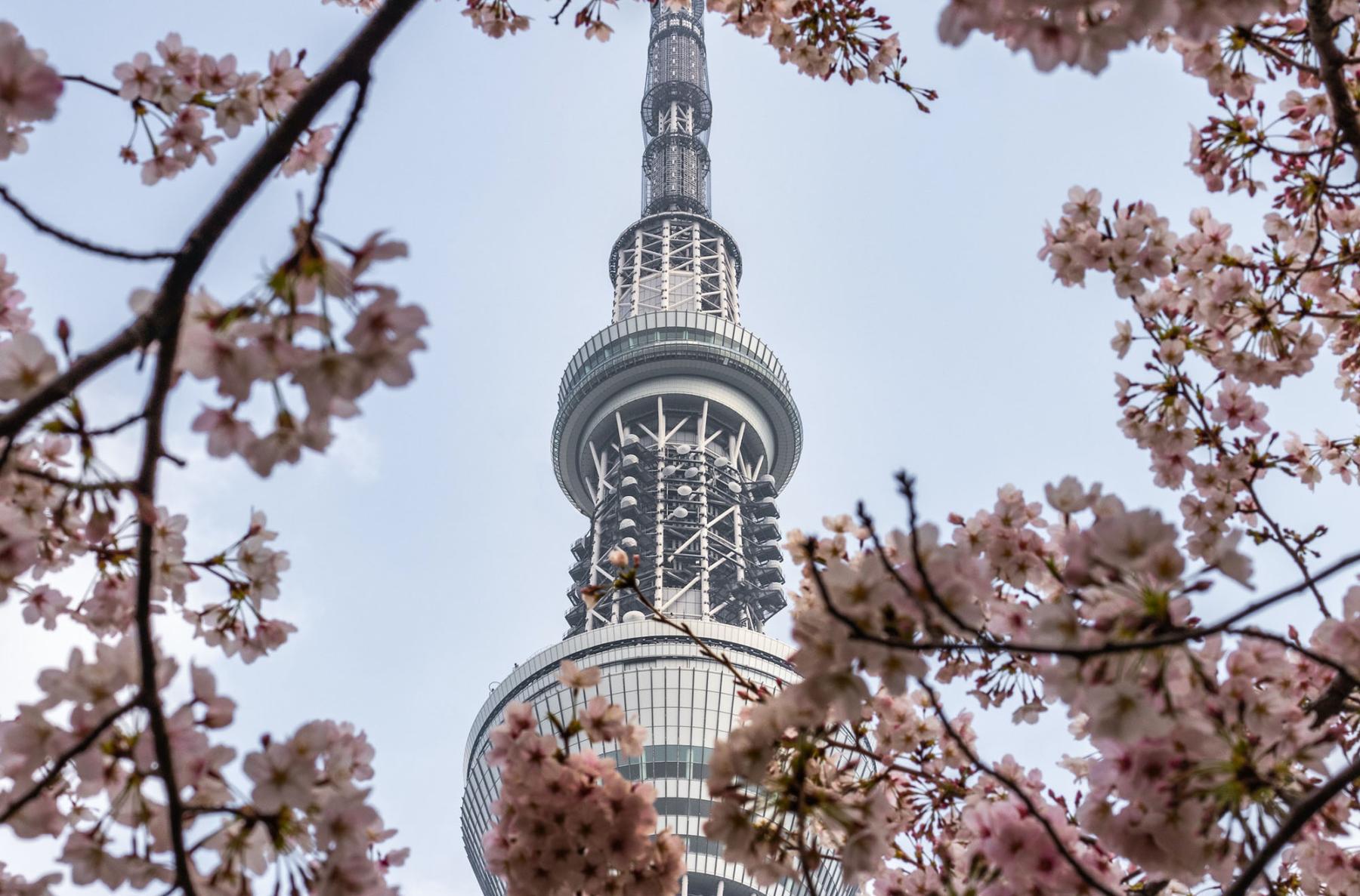 The 8 Most Famous South Korea Landmarks | Bunnik Tours