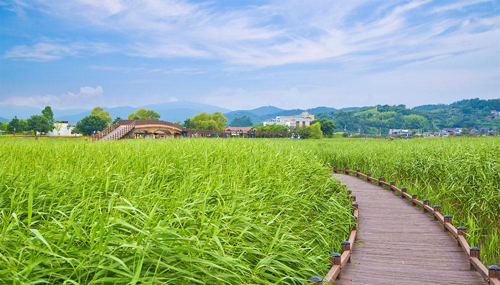 The 8 Most Famous South Korea Landmarks | Bunnik Tours