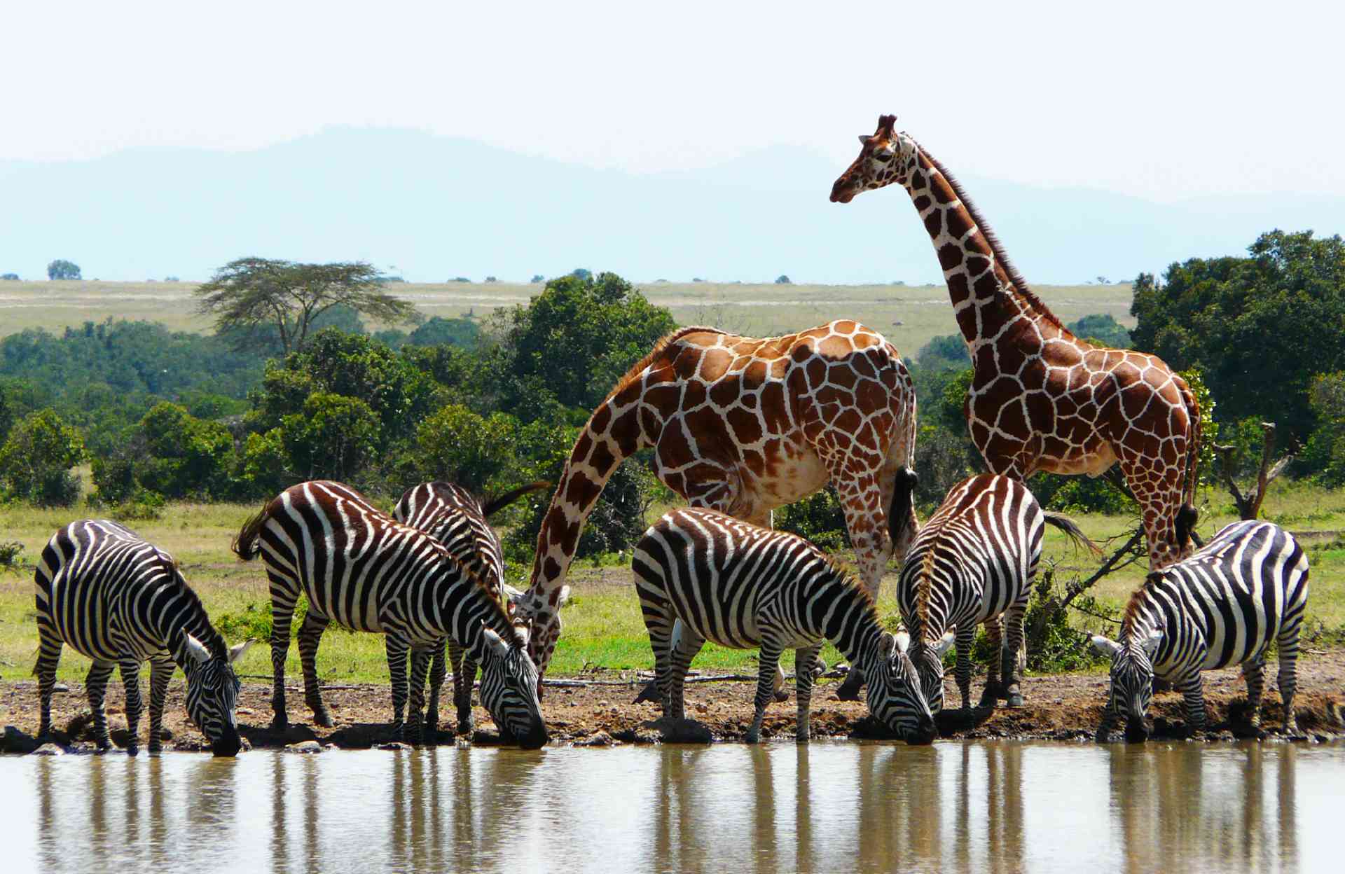 Exploring the natural wonders of Kenya | Bunnik Tours