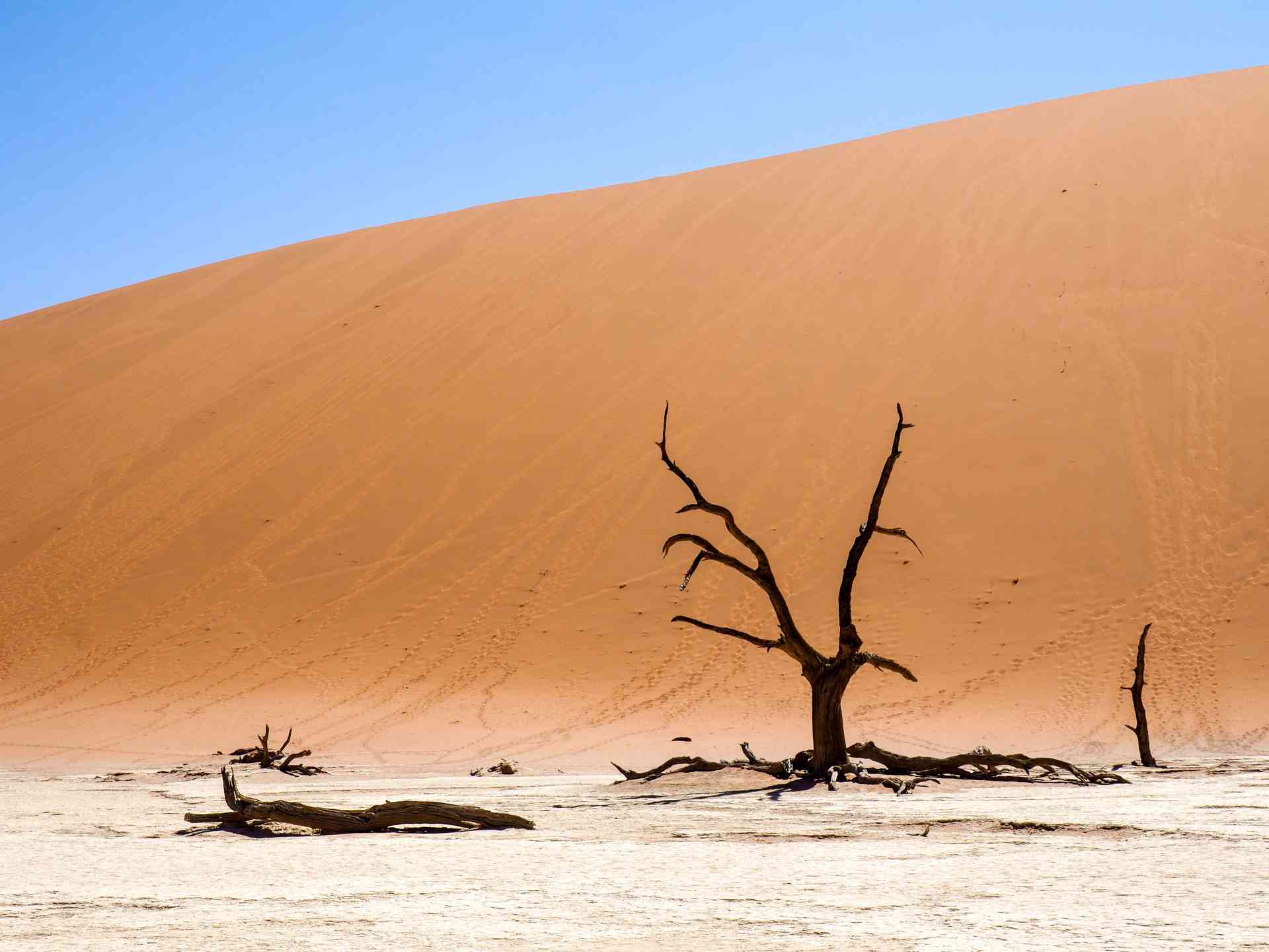 Namibia Book Club | Best Books Based on Namibia | Bunnik Tours