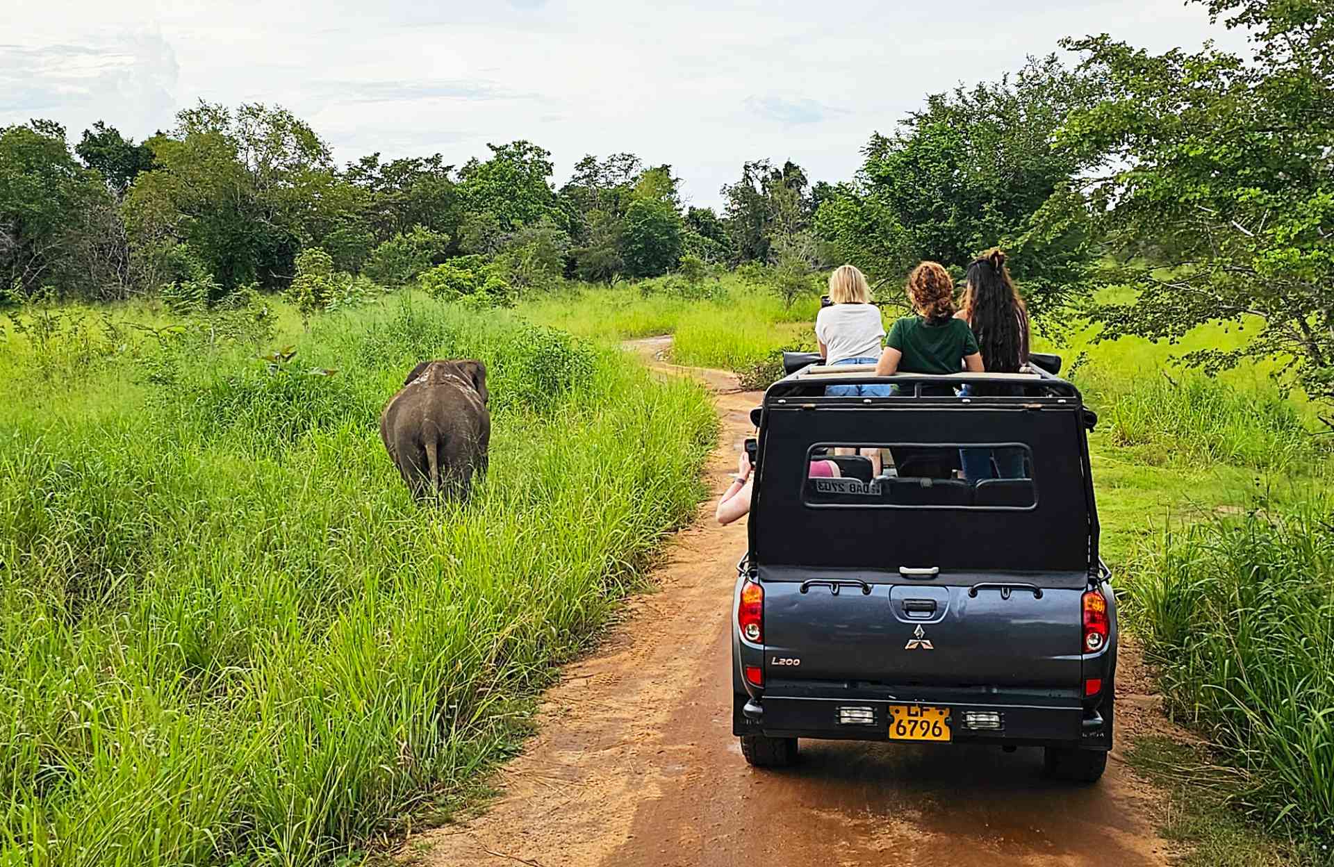 Minneriya National Park | Bunnik Tours