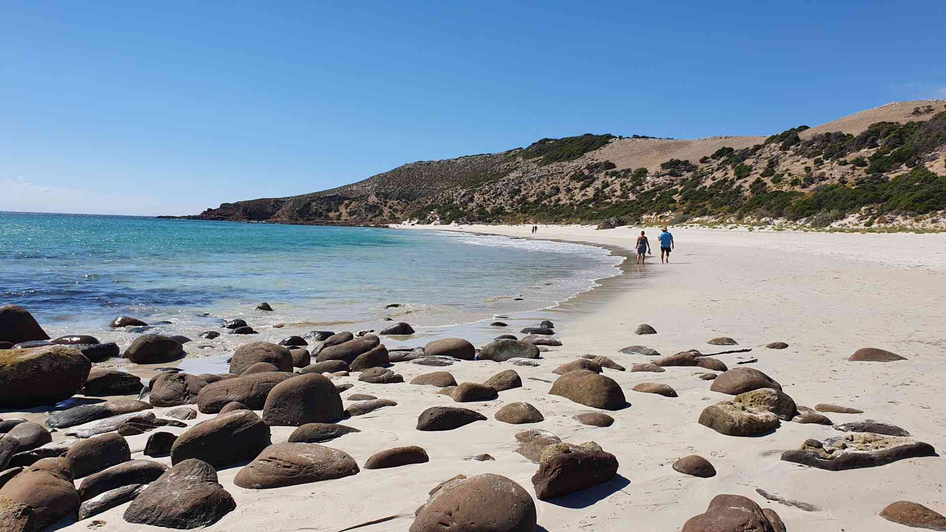 10 Random South Australian Facts! | Bunnik Tours
