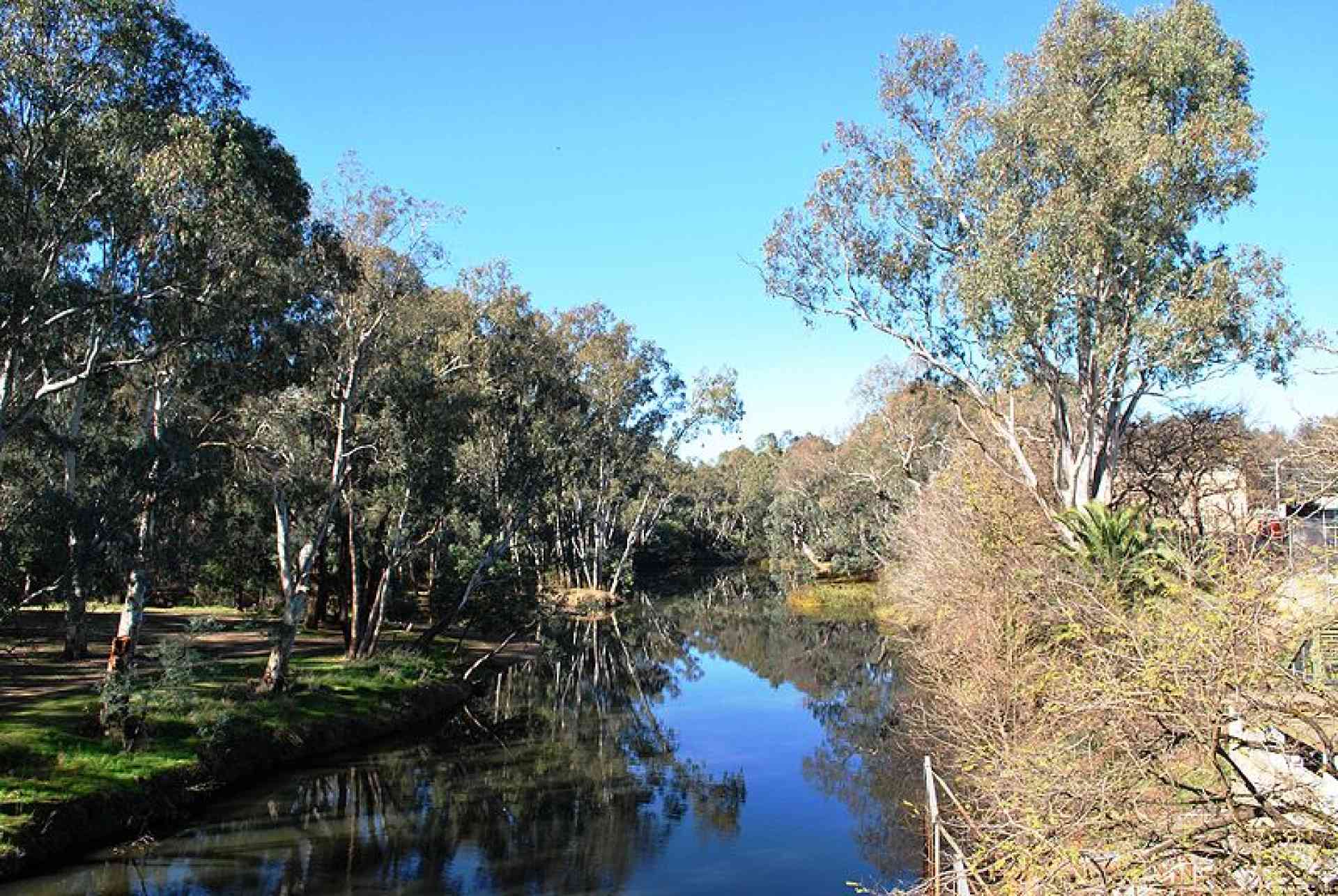 Where in the Wangaratta? | Bunnik Tours