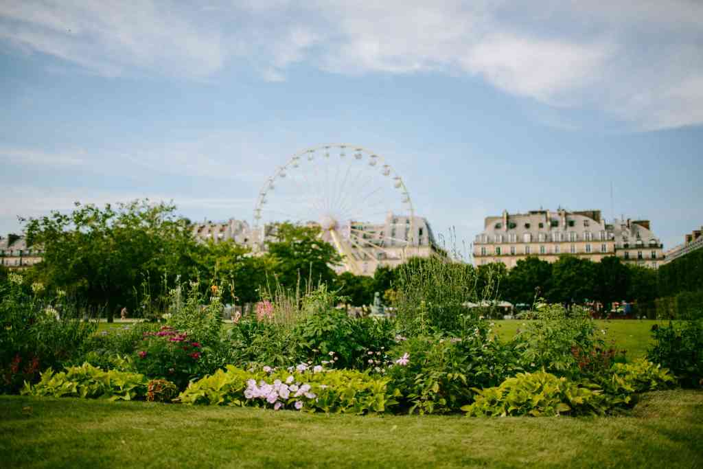 Parisian Chic | Bunnik Tours