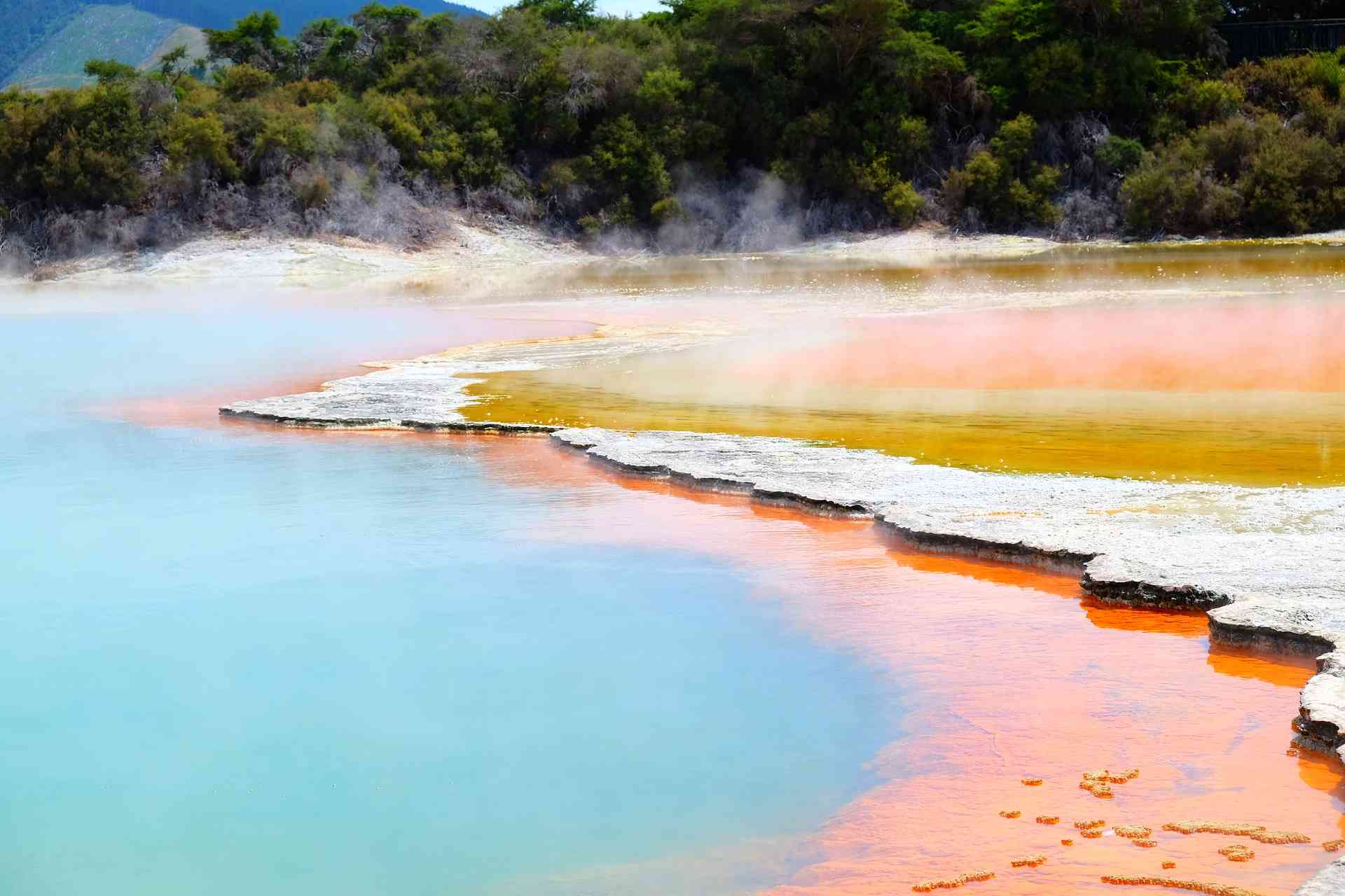 Photo guide | Wai-O-Tapu Thermal Wonderland | Bunnik Tours