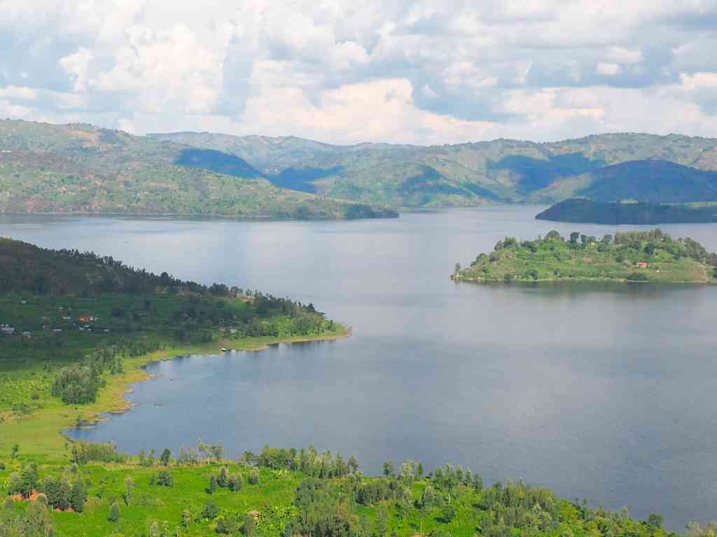 5 Day Gorillas of Rwanda | Bunnik Tours