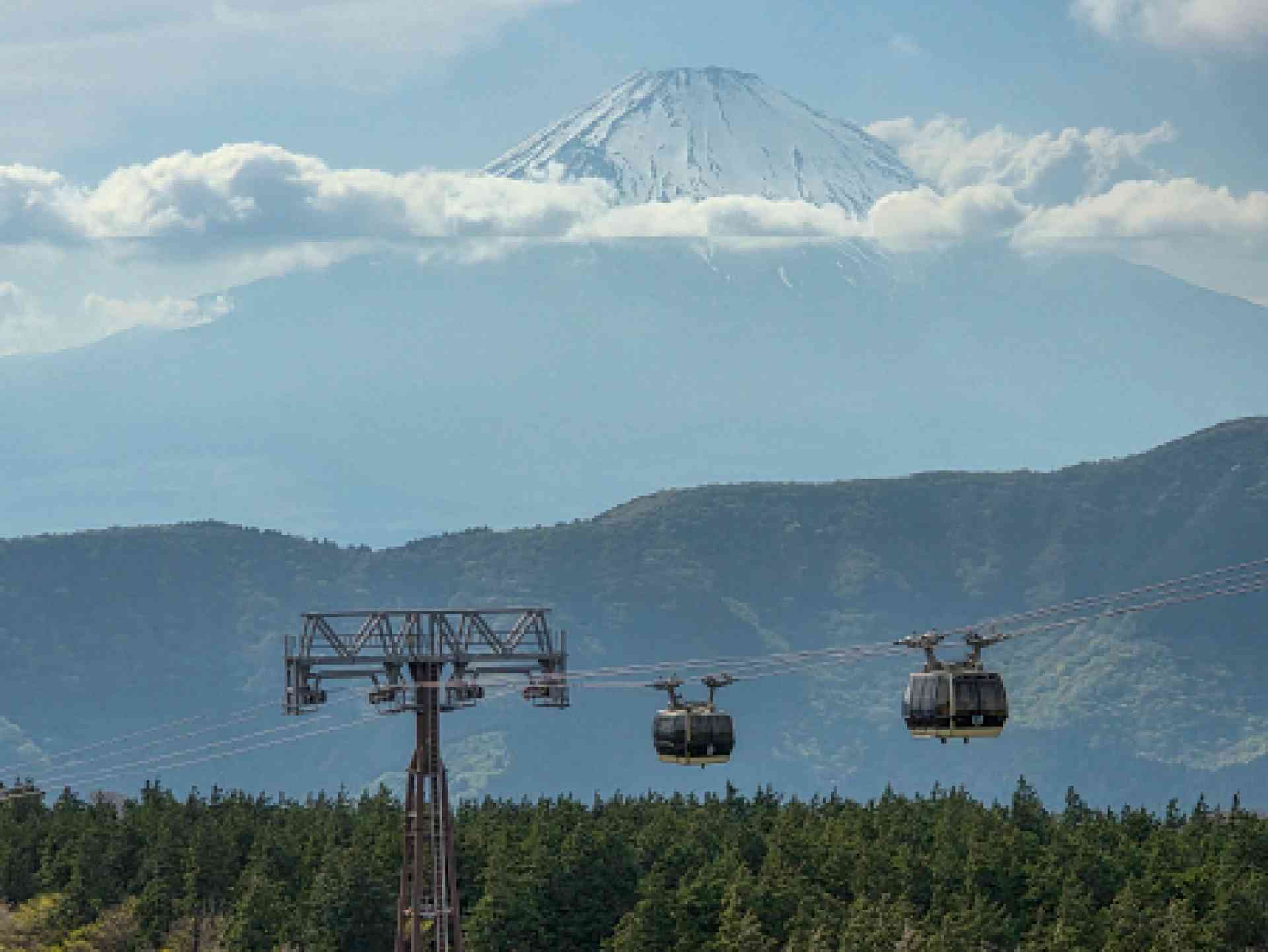 Japan Discovery 2026 | Bunnik Tours